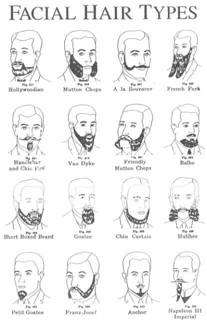 famous moustache | AbbieSTABBY