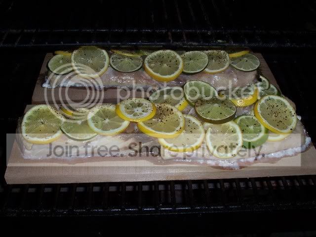My version of Cedar Plank Grilled Redfish(pics) | Pier and Surf Forum