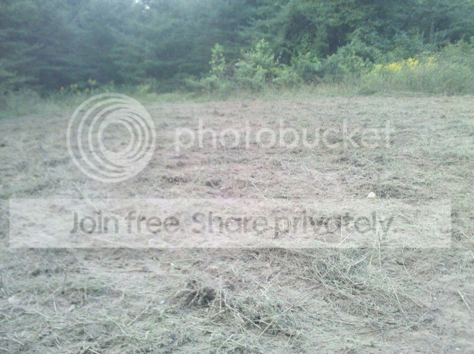 Best ATV tools for plot | Page 2 | Archery Talk Forum