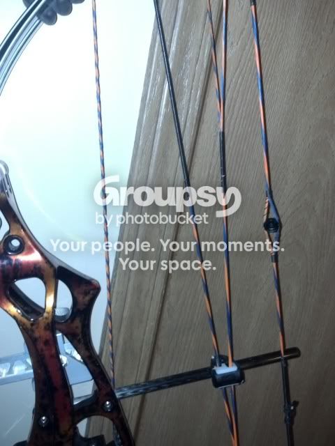 Blue and orange strings on a black bow? | Archery Talk Forum