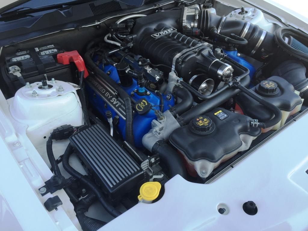 Engine Bay Pic Collection | Ford Shelby GT500 Forum